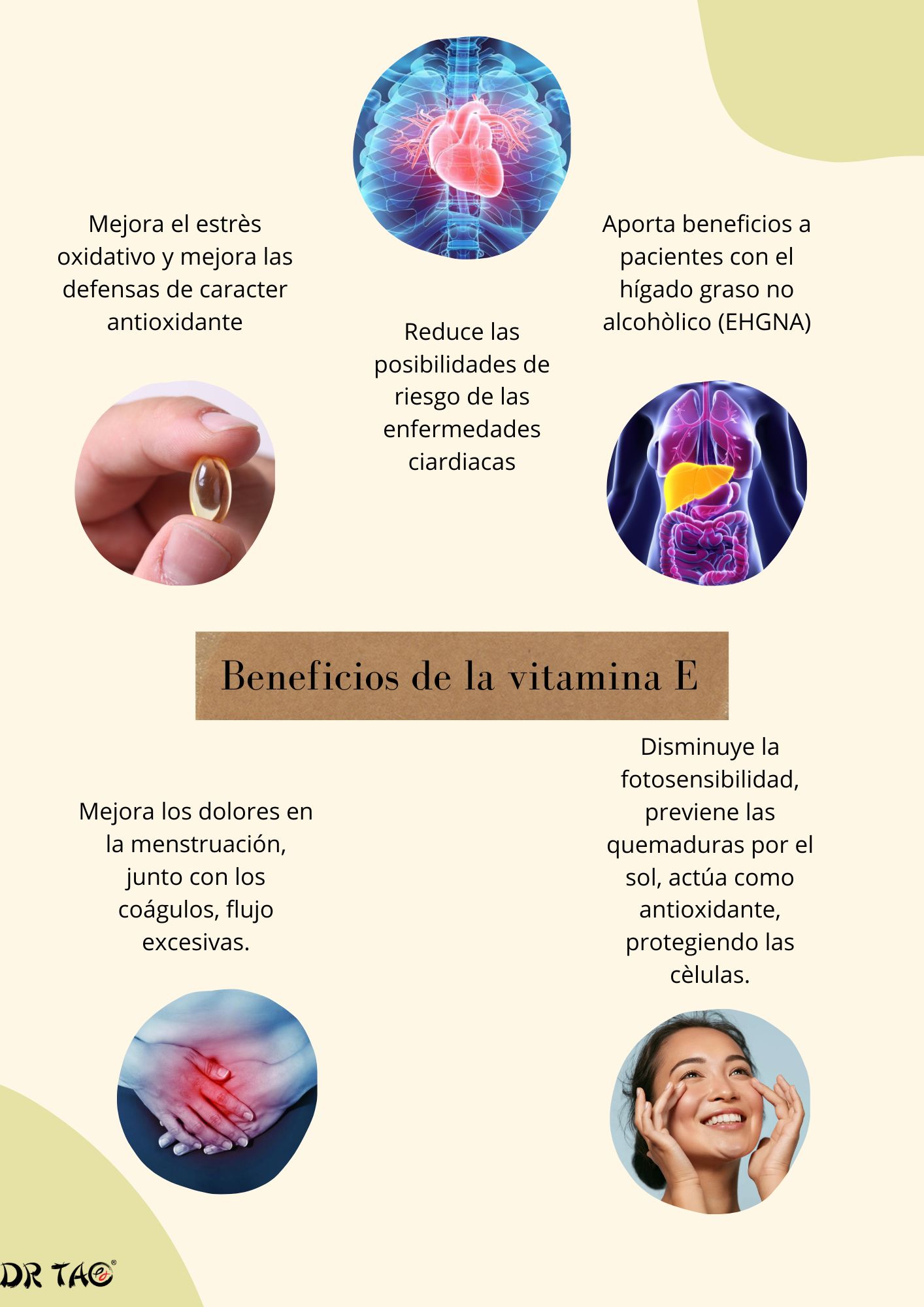 Los 5 beneficios de la vitamina E para la salud - Dr Tao
